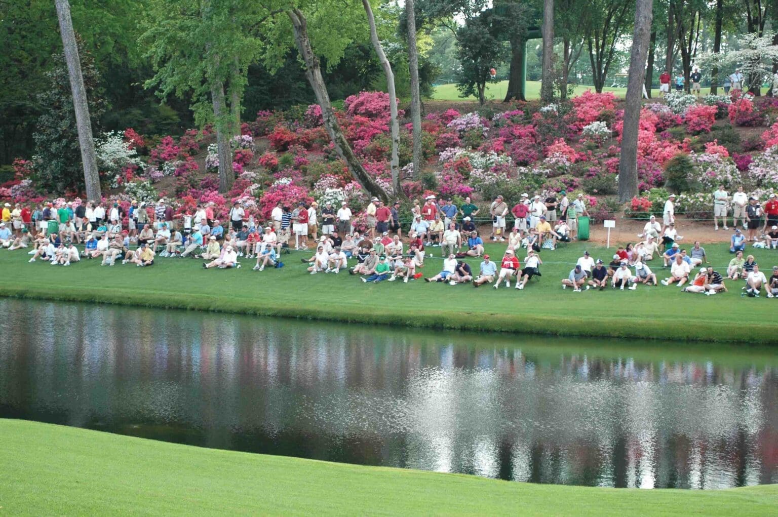 The Flowers of Augusta National Golf Club - Golfchase.com