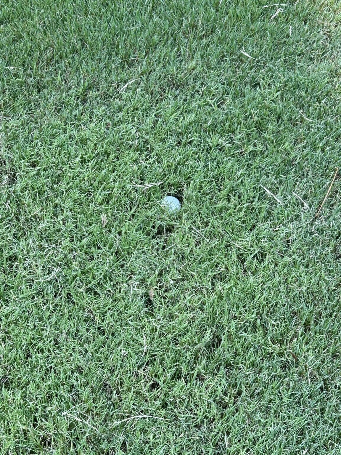 Fallen Oak | #1 Ranked Golf Course in Mississippi - Golfchase.com